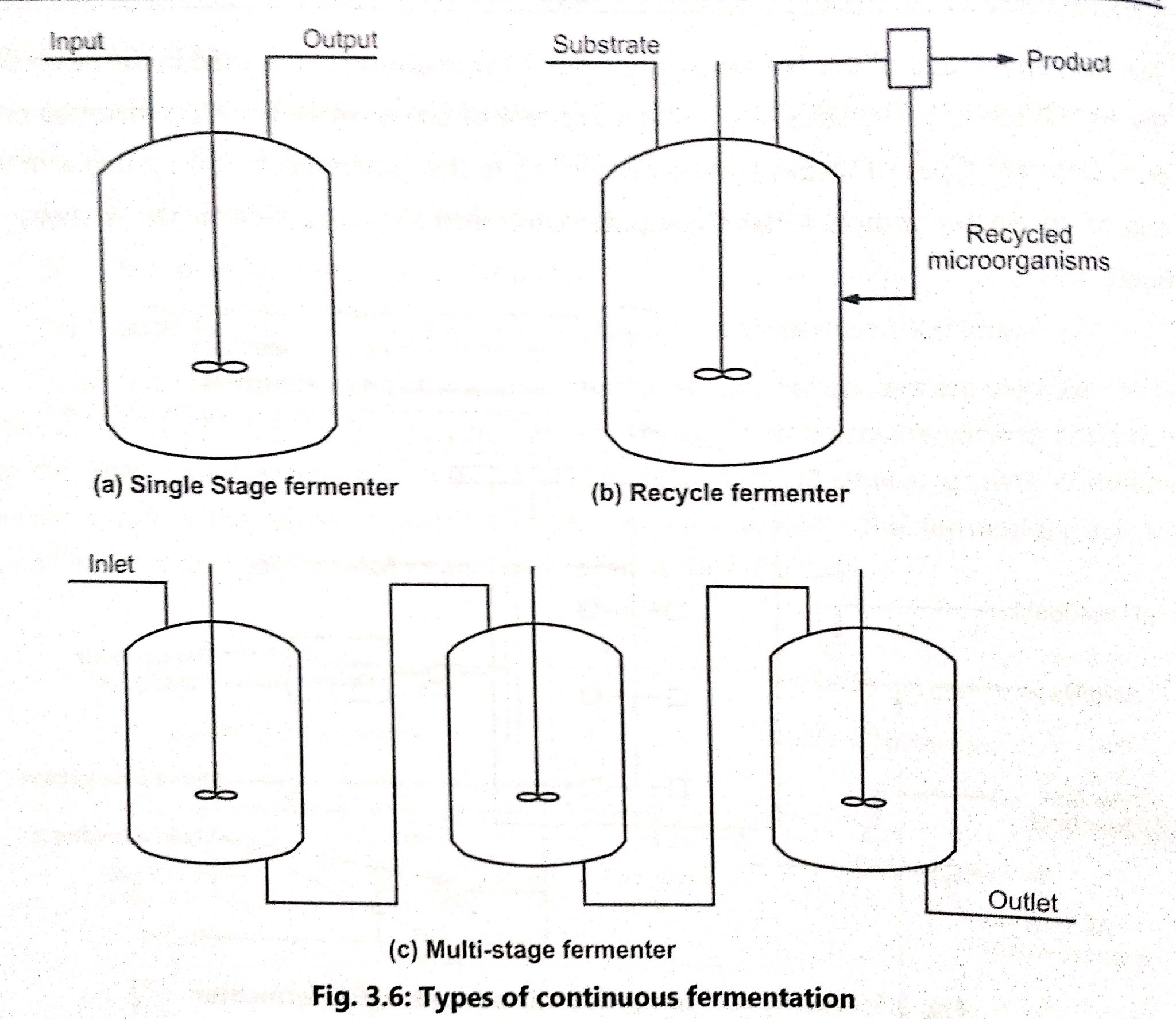 Types of fermenter - Biology Ease