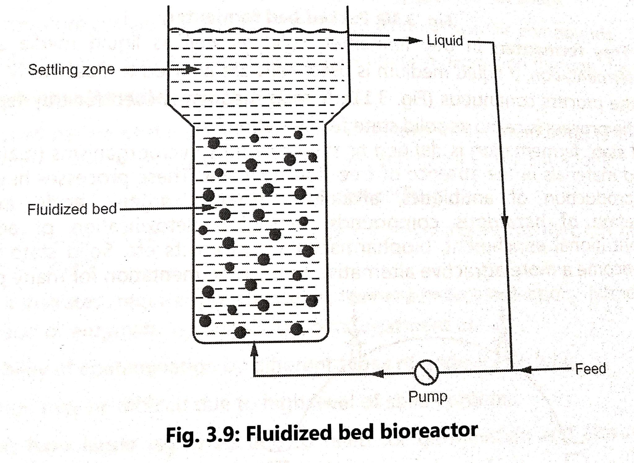 Types of fermenter - Biology Ease