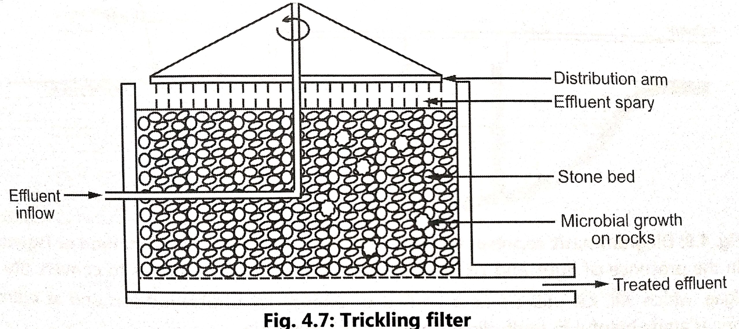 Biological Wastewater Treatment - BIOLOGY EASE
