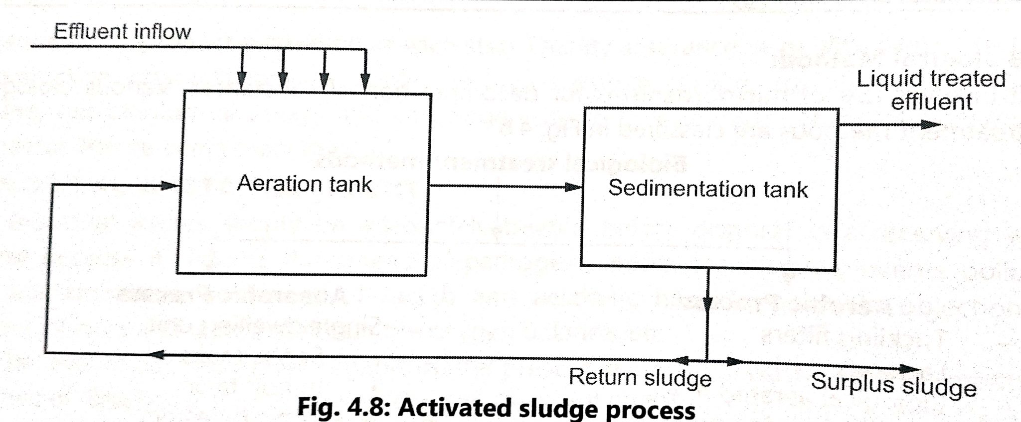 Biological Wastewater Treatment - Biology Ease