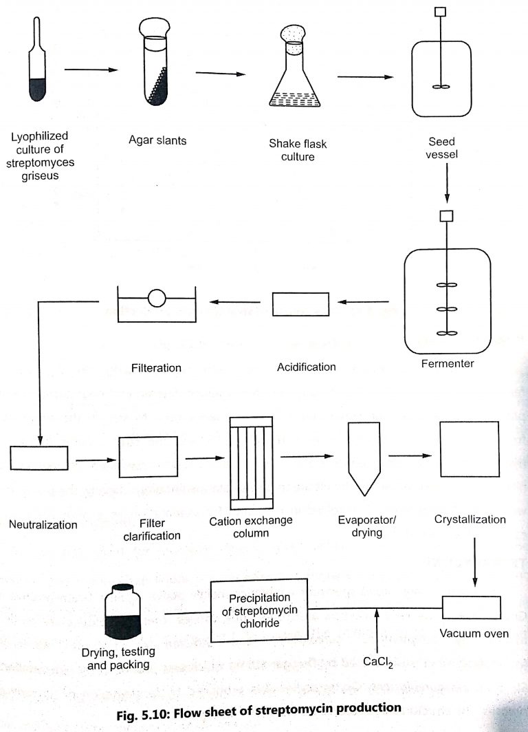 Production of Streptomycin - Biology Ease