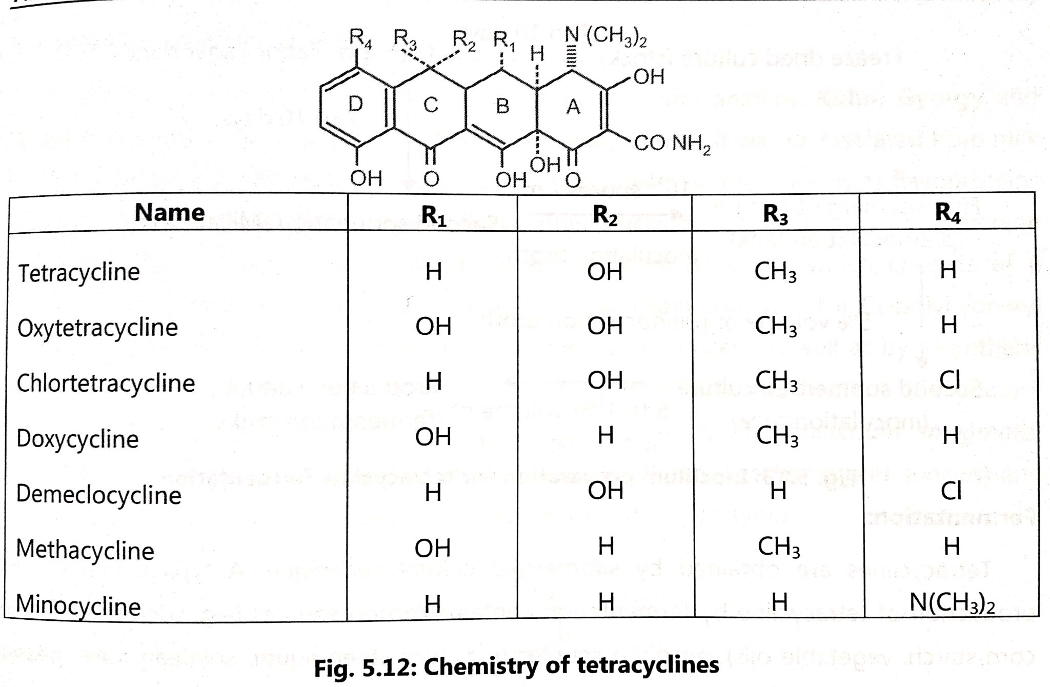 Production of Tetracycline - Biology Ease