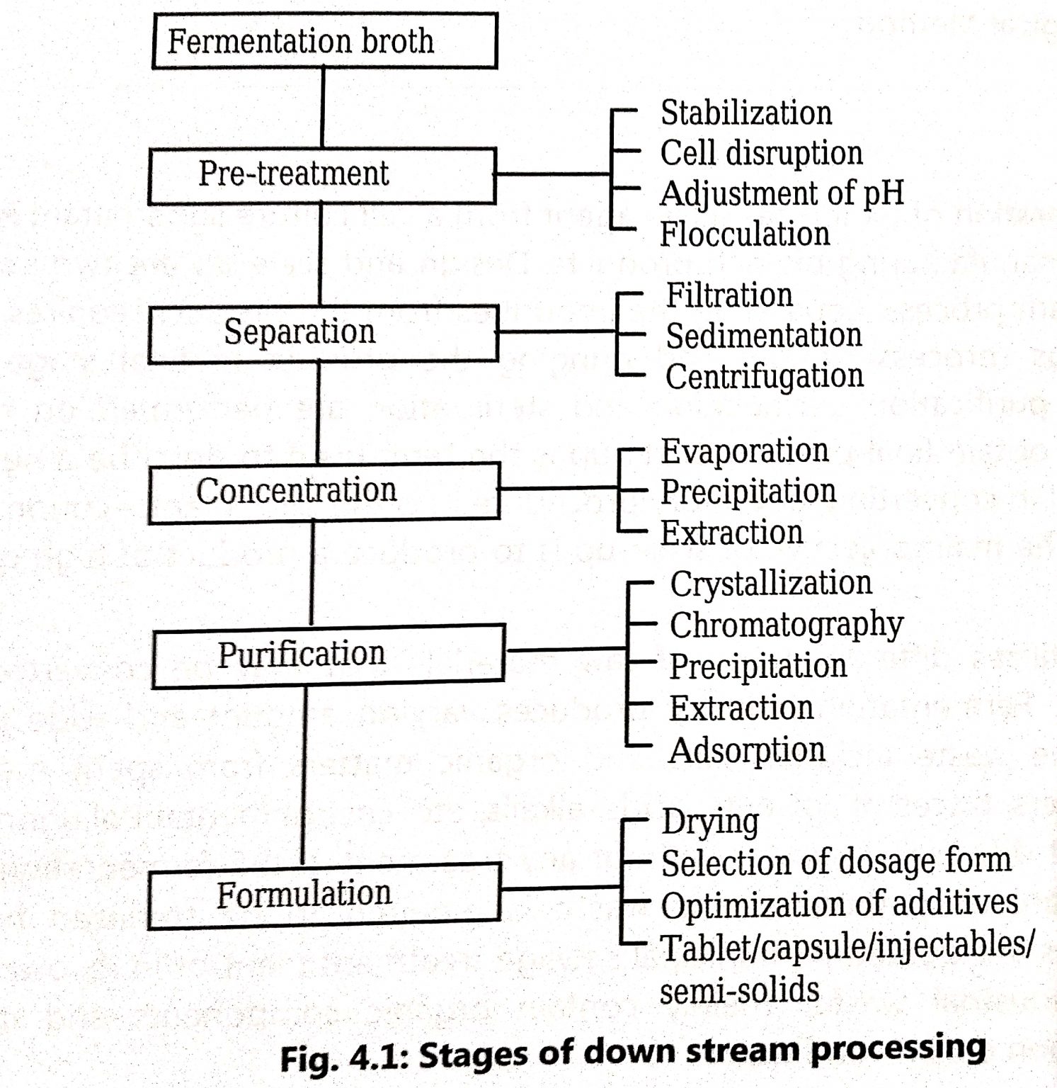 Downstream Processing - Biology Ease