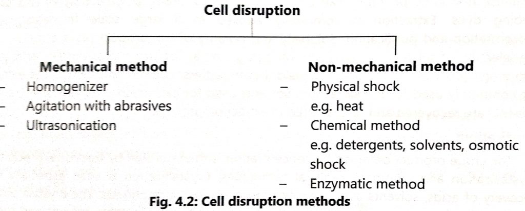Downstream Processing - Biology Ease