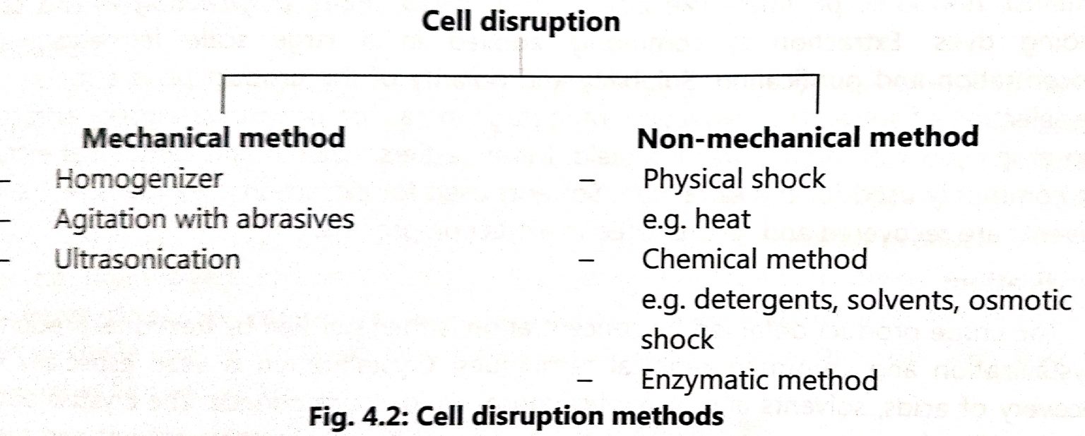 Downstream Processing - Biology Ease