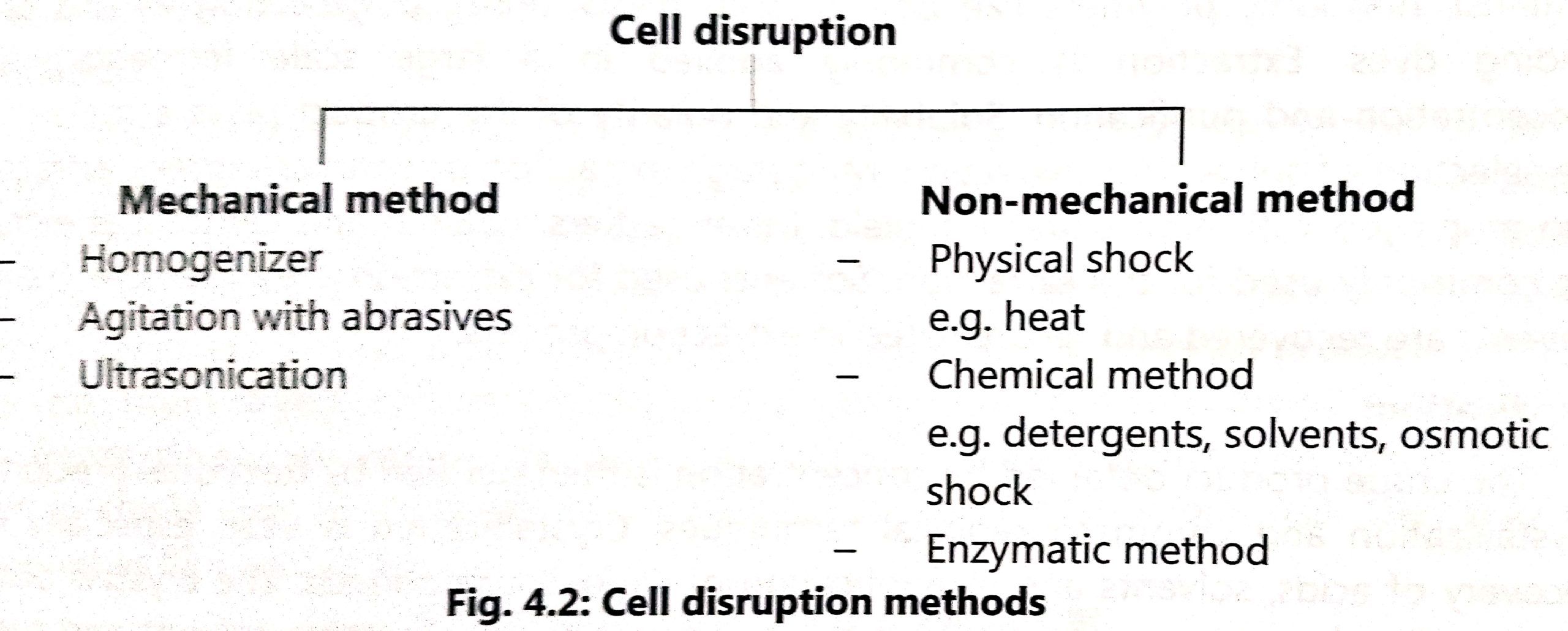 Downstream Processing - Biology Ease