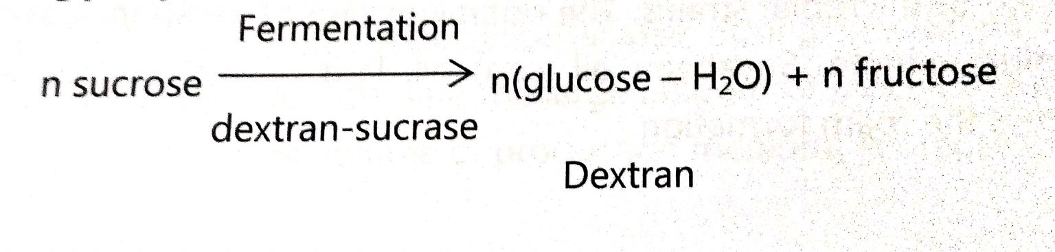 Dextran and its production - Biology Ease