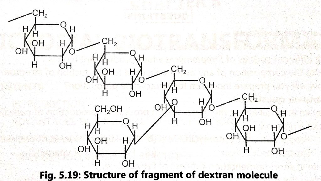 Dextran and its production - Biology Ease