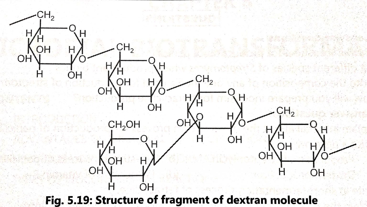 Dextran and its production - Biology Ease