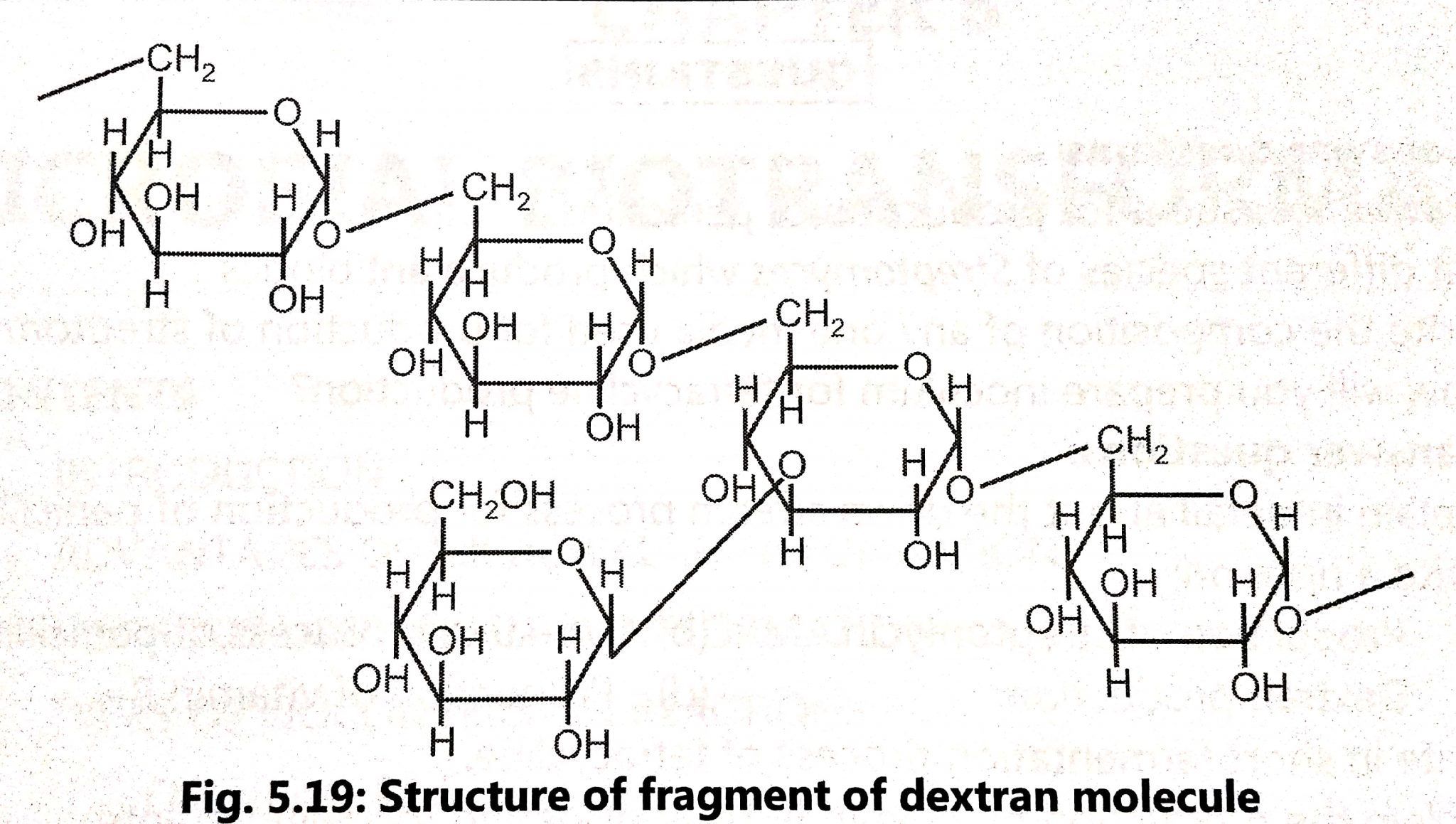 Dextran and its production - Biology Ease