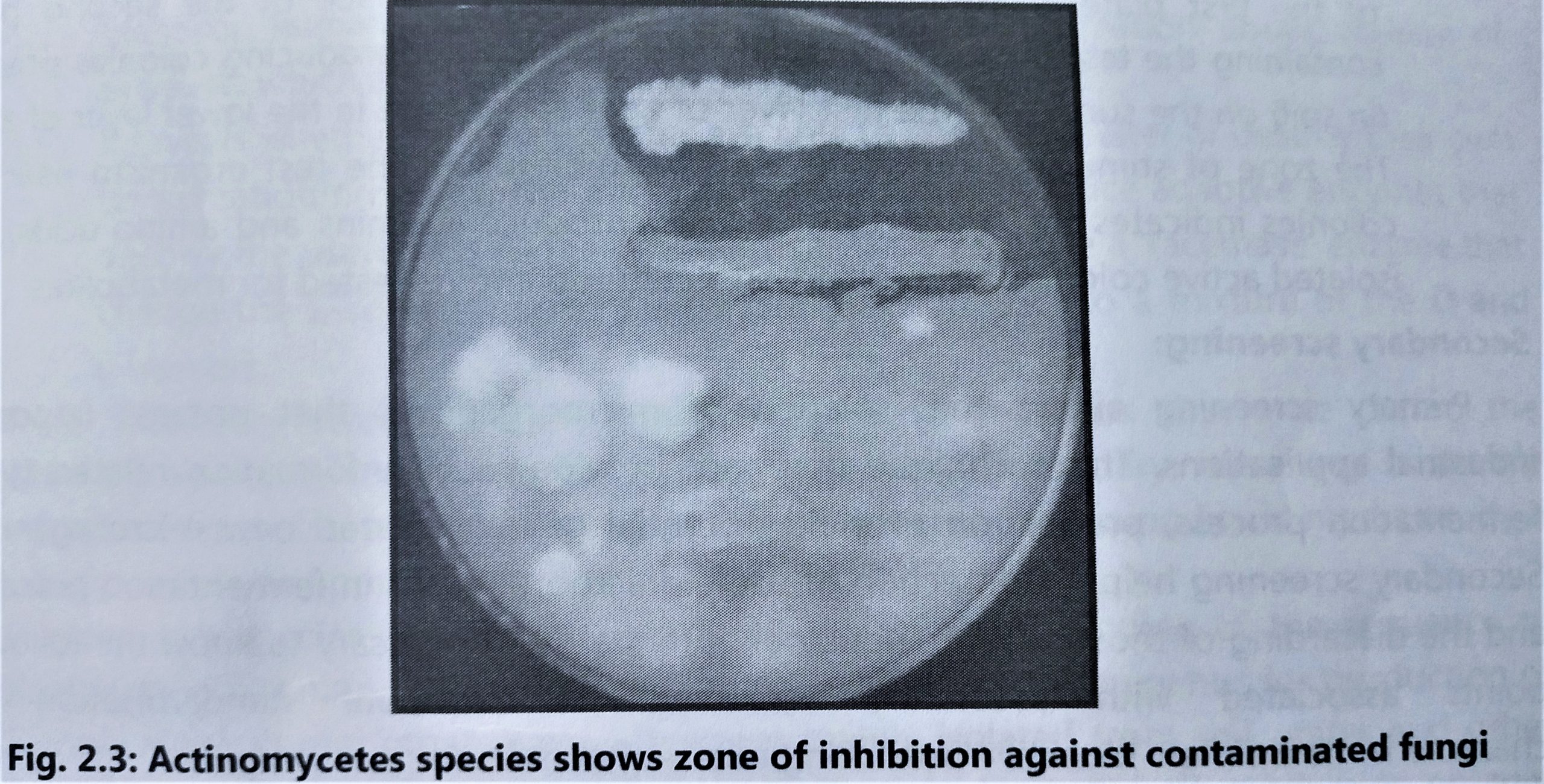 Screening and its Techniques - Biology Ease