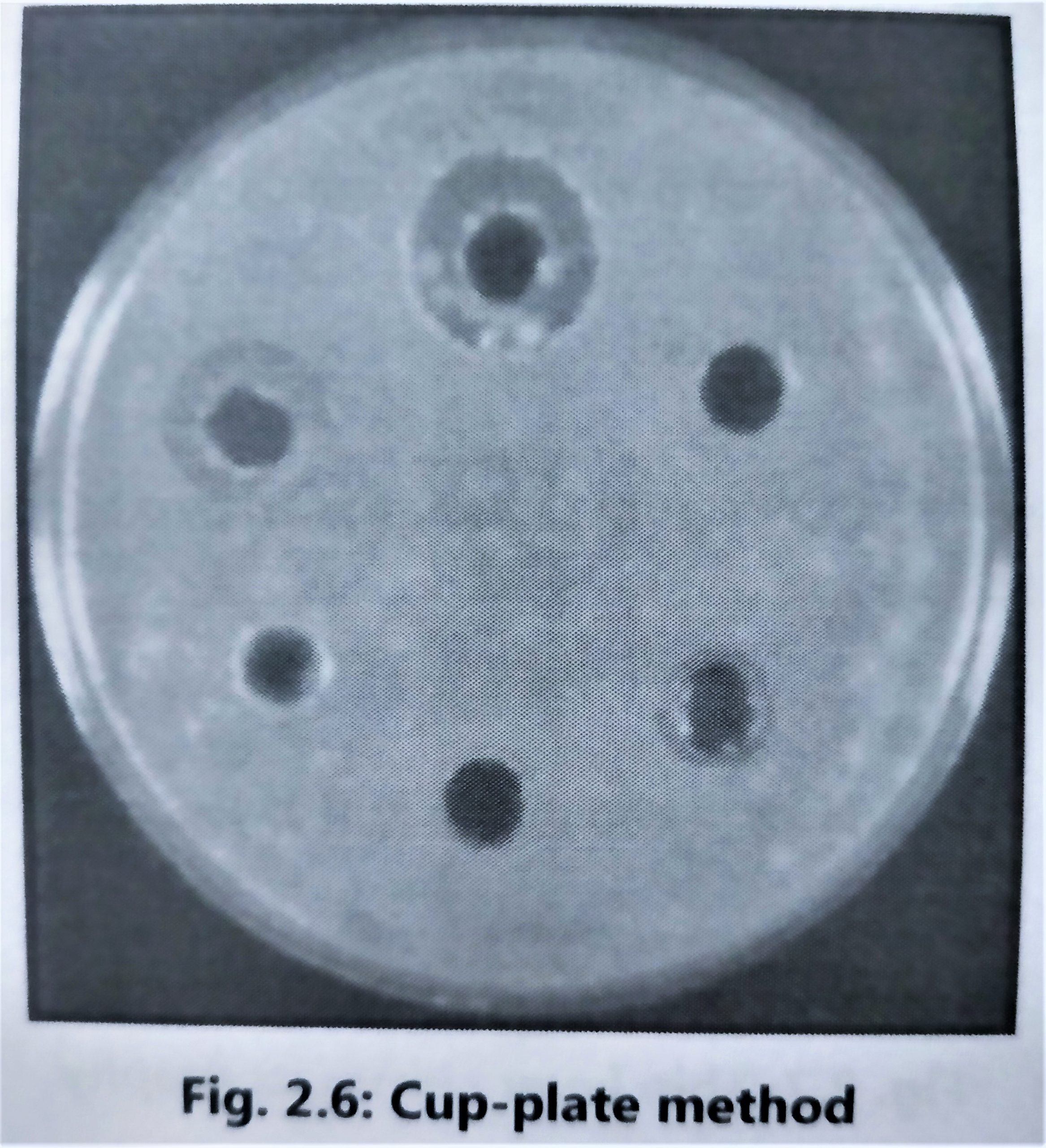 Screening and its Techniques - Biology Ease