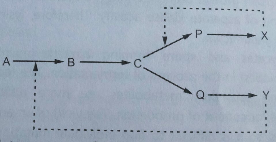 Strain Improvement Methods - Biology Ease