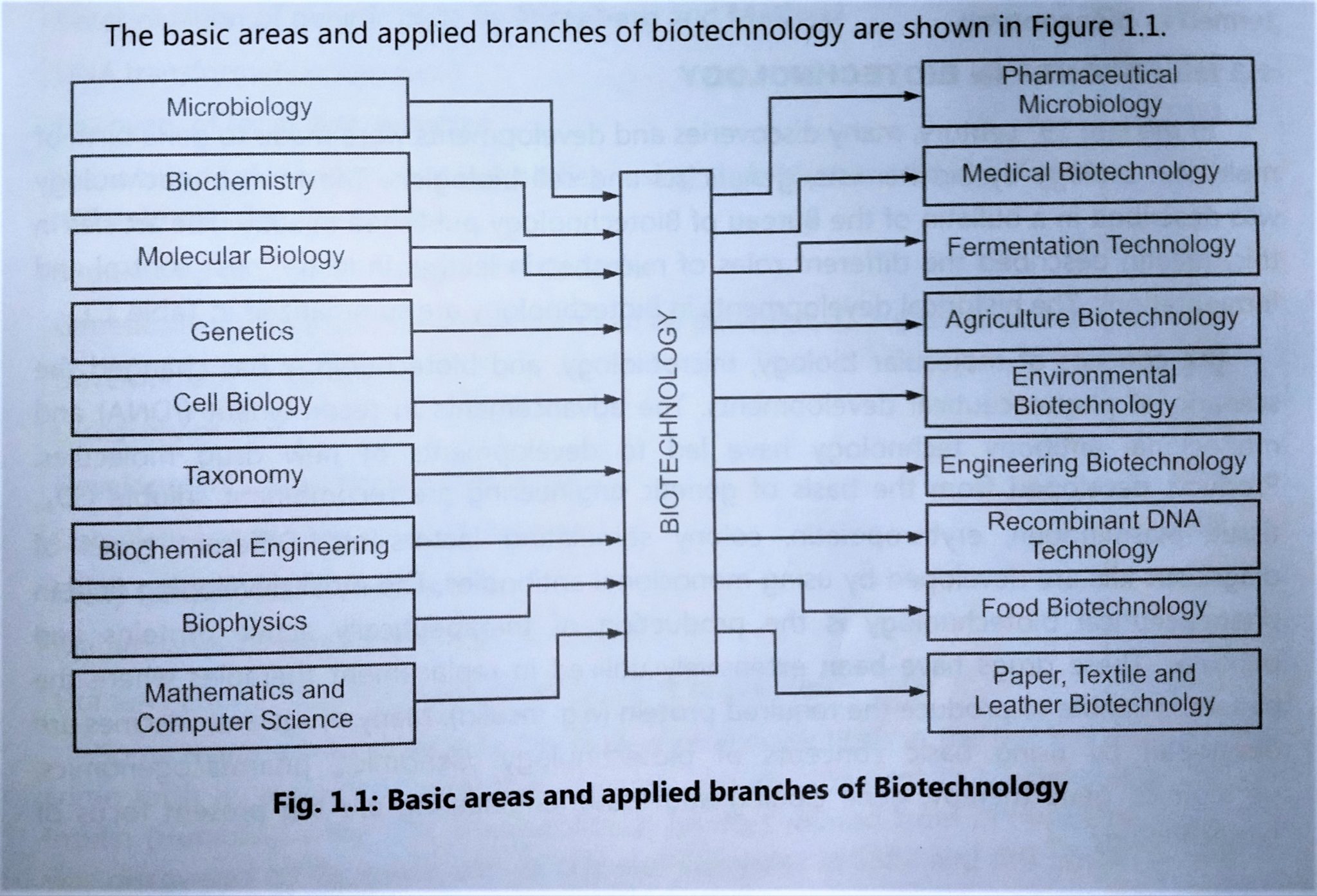 Branches of Biotechnology - Biology Ease