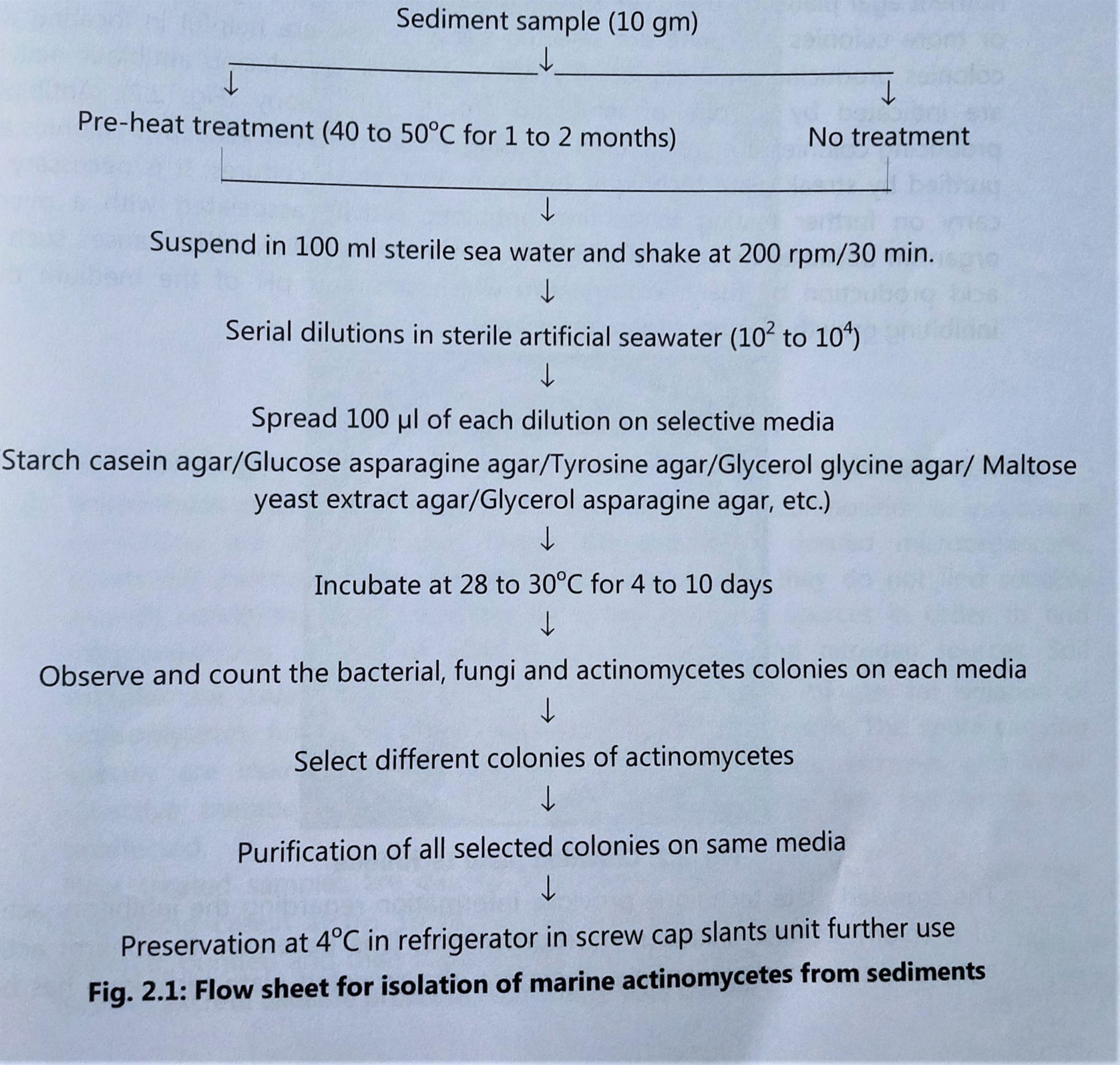 Isolation of microorganisms - Biology Ease
