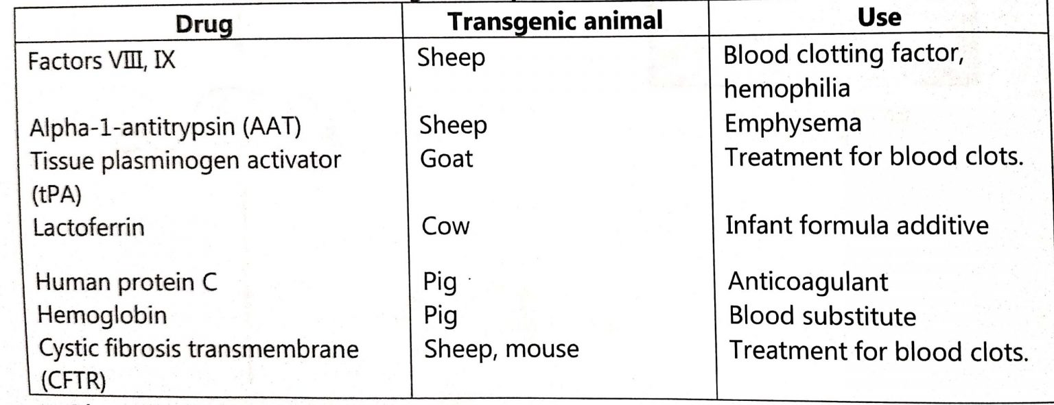 Applications of transgenic animals - Biology Ease