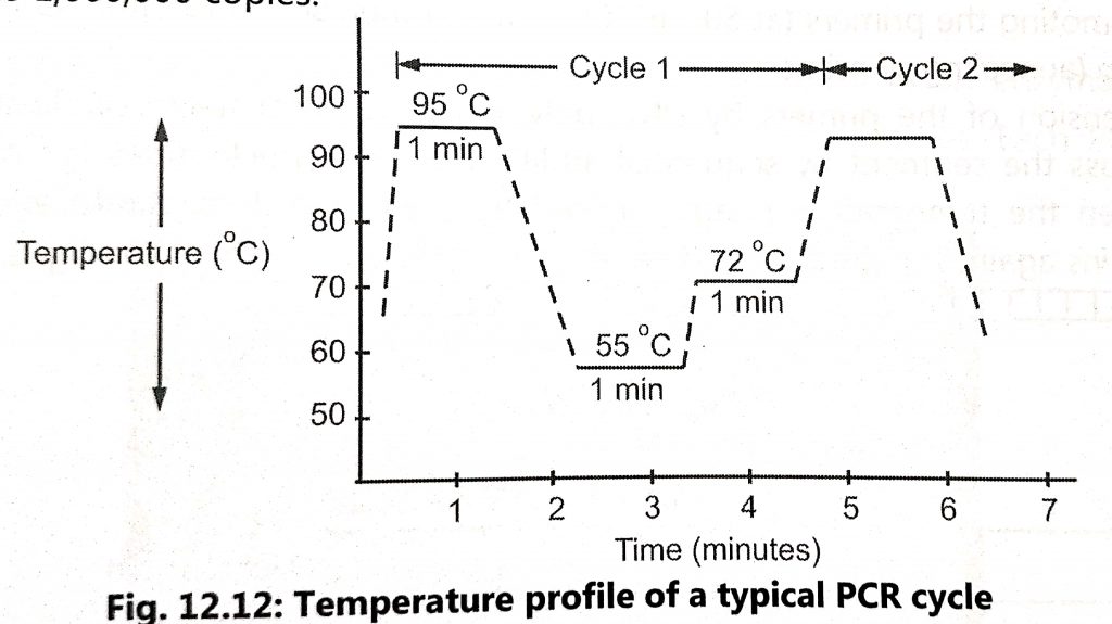 Polymerase Chain Reaction (PCR) - Biology Ease
