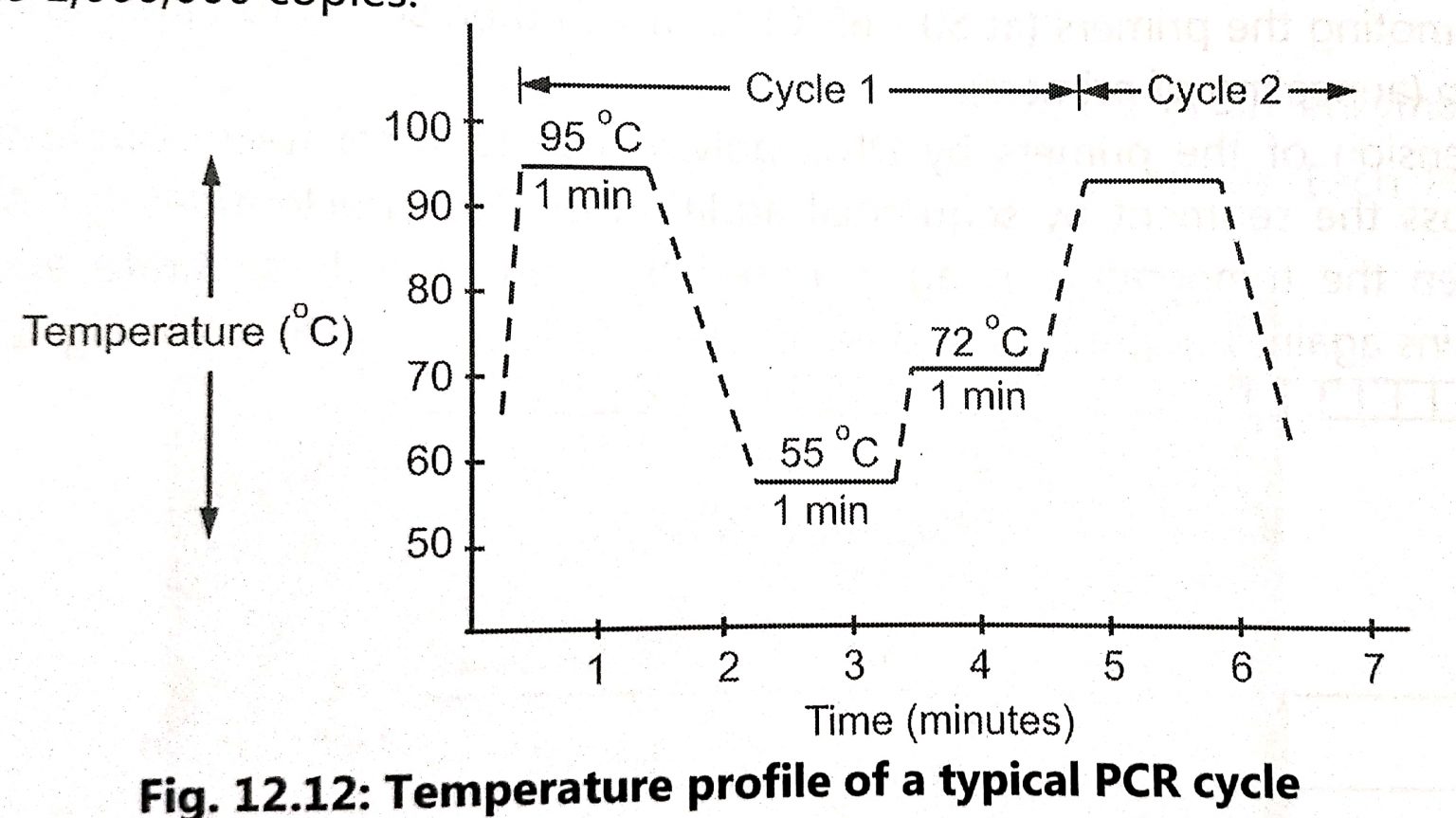 Polymerase Chain Reaction (PCR) - Biology Ease