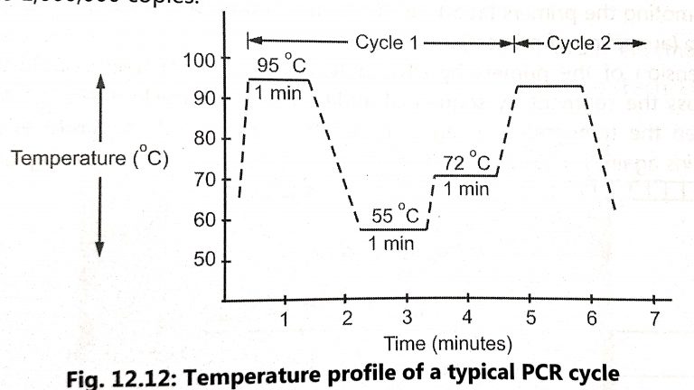 Polymerase Chain Reaction (PCR) - Biology Ease