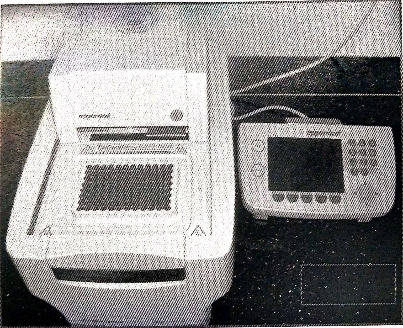 Polymerase Chain Reaction (PCR) - Biology Ease