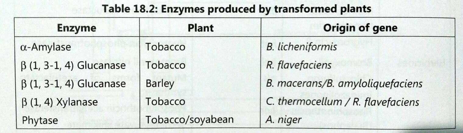 APPLICATIONS OF TRANSGENIC PLANTS - Biology Ease