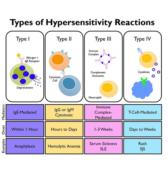 Types Of Hypersensitivity Biology Ease