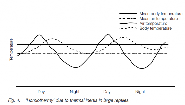 Thermoregulation - Biology Ease