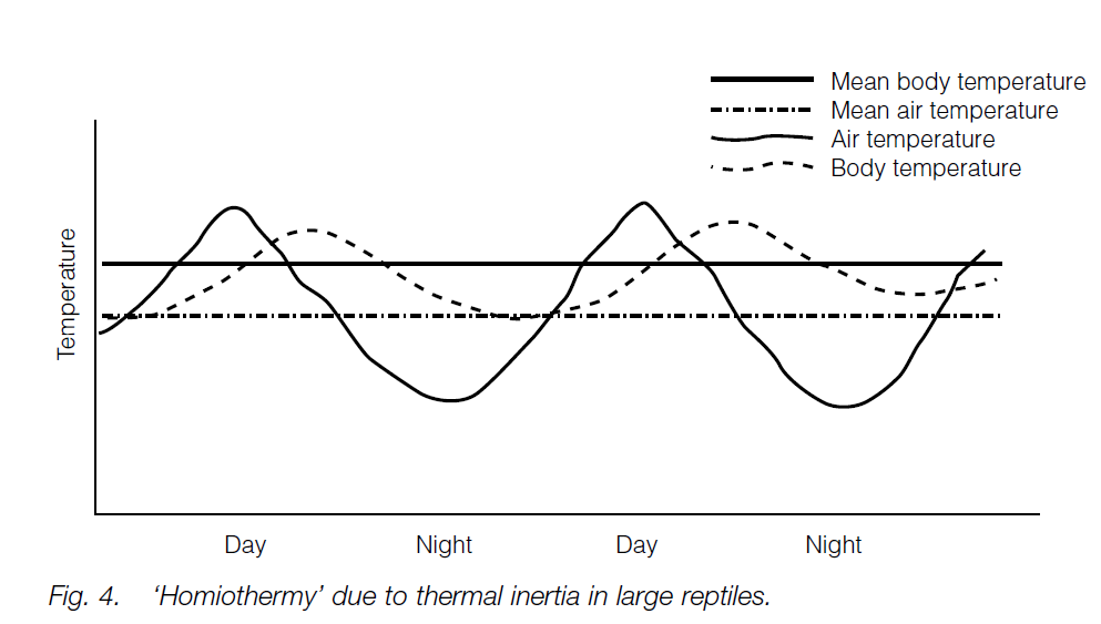 Thermoregulation - Biology Ease