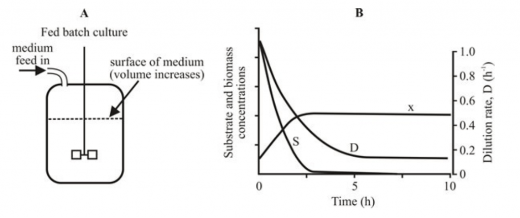 Fermentation Types| Large-scale Production - Biology Ease