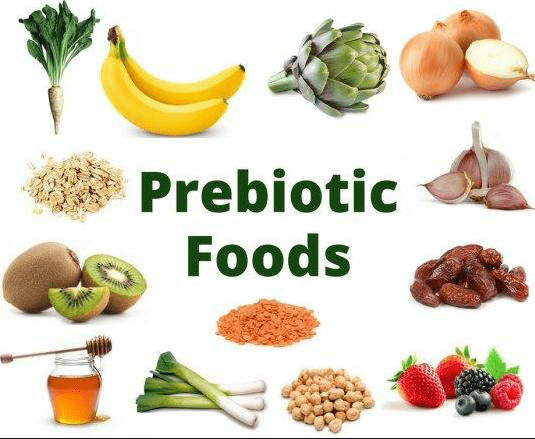 PREBIOTICS | OVERVIEW - Biology Ease