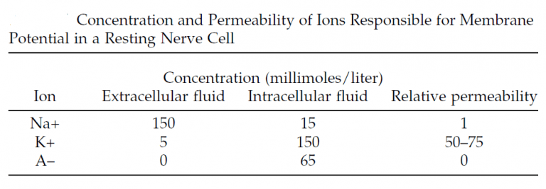 Resting membrane potential - Biology Ease