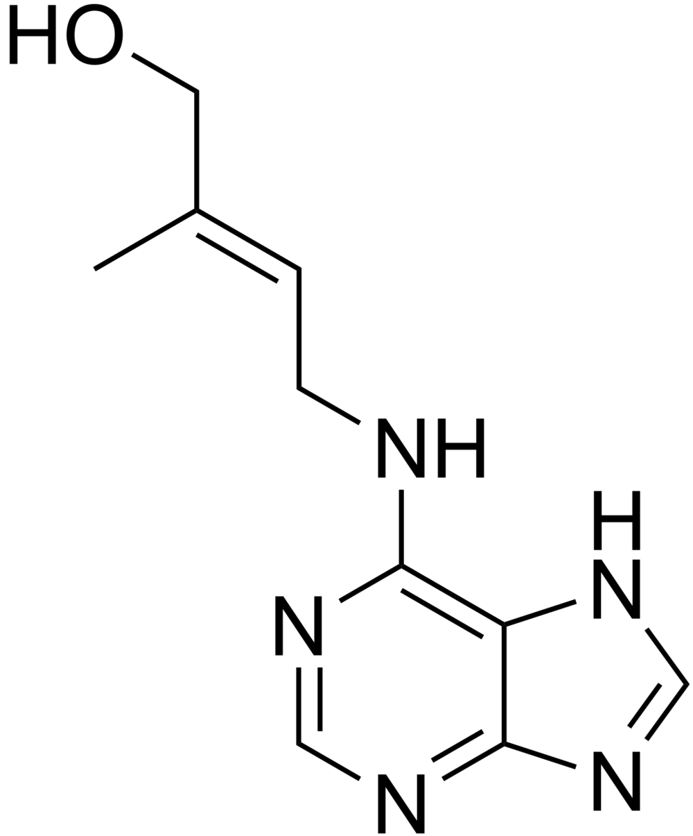 Role of Cytokinins in Plants - Biology Ease
