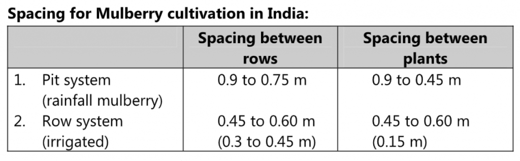 Cultivation of Mulberry - Biology Ease