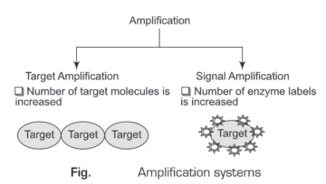 Signal Amplification System - Biology Ease