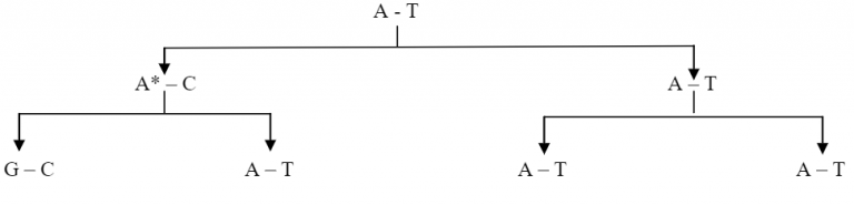 Spontaneous and Induced Mutation - Biology Ease