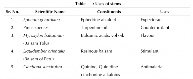 Modification of stem- Types with Example - Biology Ease