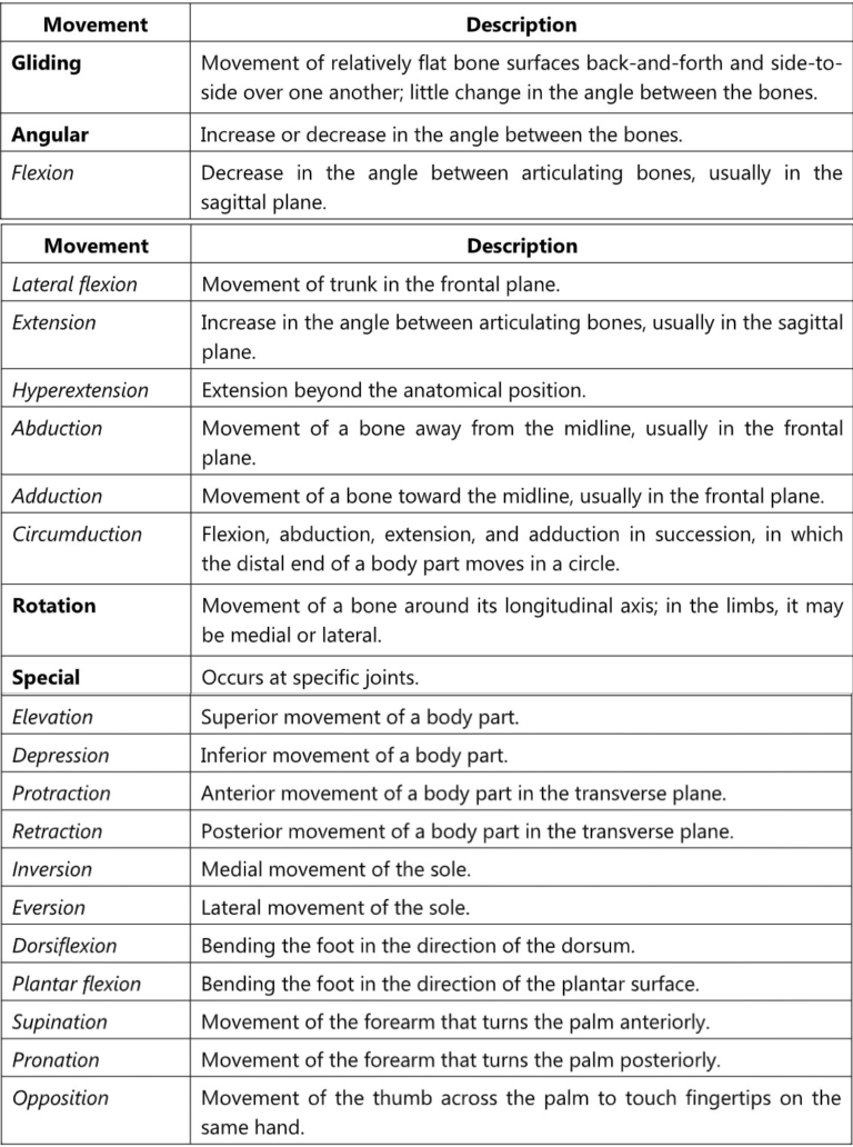 Classification of Joints - Biology Ease