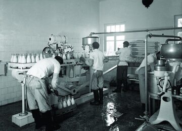 Pasteurization- Definition, Types, Process, Comparison, Uses - Biology Ease