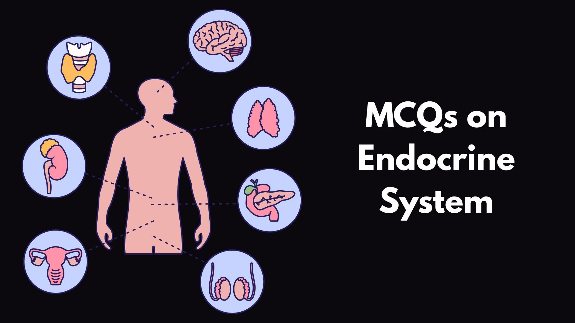MCQ on Endocrine System - Biology Ease